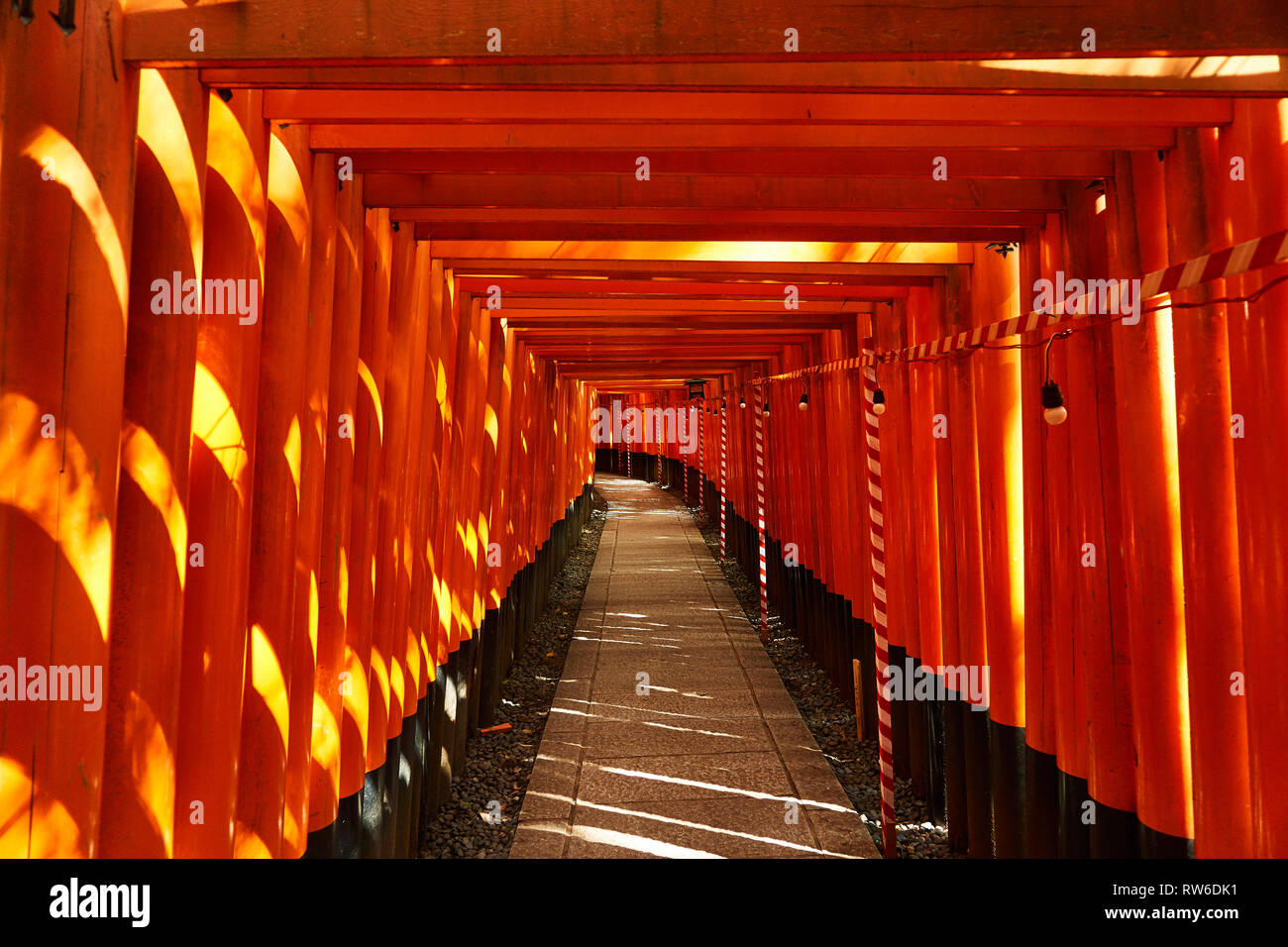 Vermilion torii gates lead up the path at Fushimi Inari Taisha Shrine ...
