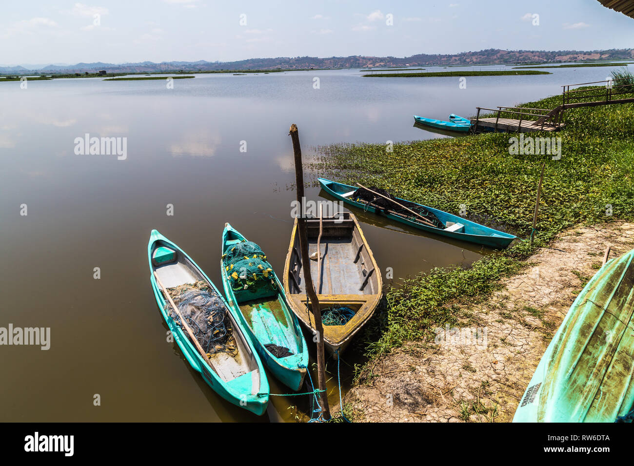 La Segua wetland, important Ramsar in the province of Manabi Stock ...