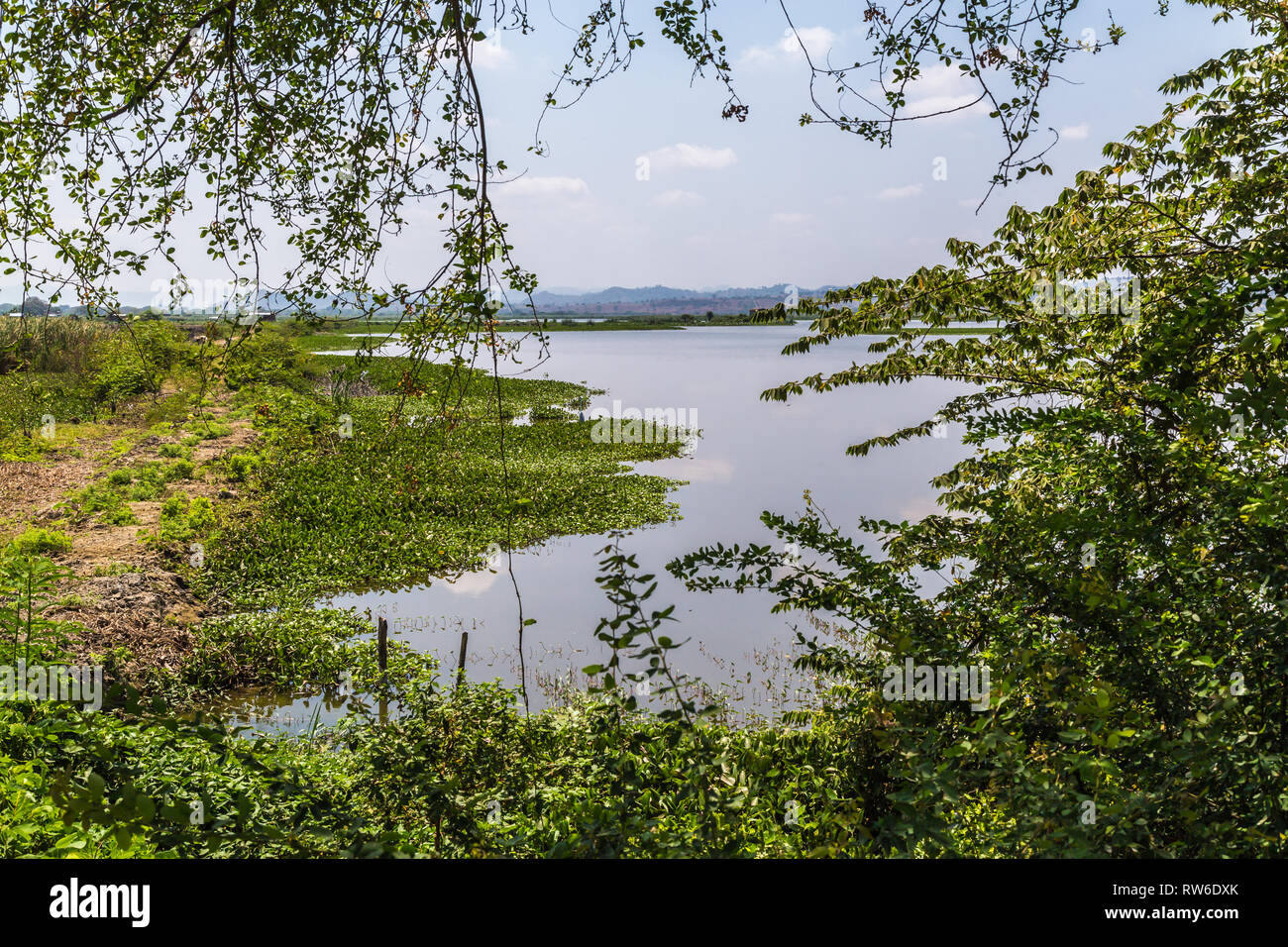 La Segua wetland, important Ramsar in the province of Manabi Stock ...