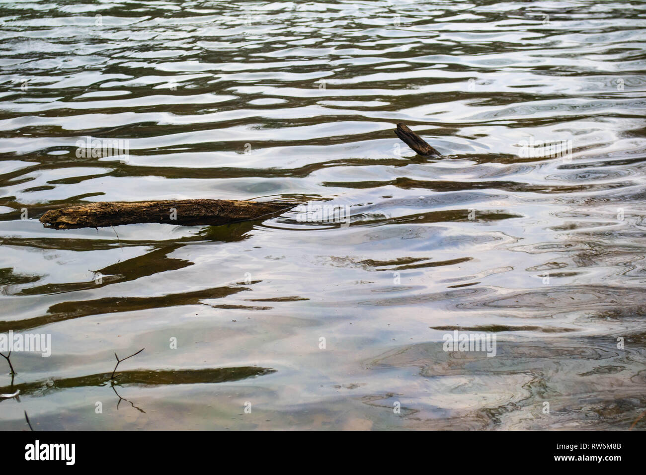 Ripple in pond hi-res stock photography and images - Alamy