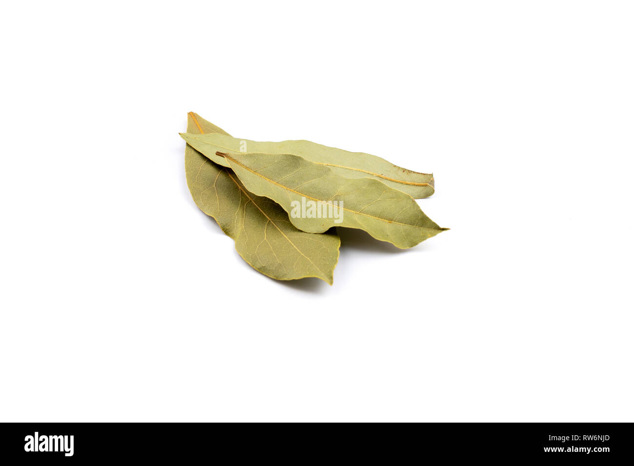 Three bay leaves hi-res stock photography and images - Alamy