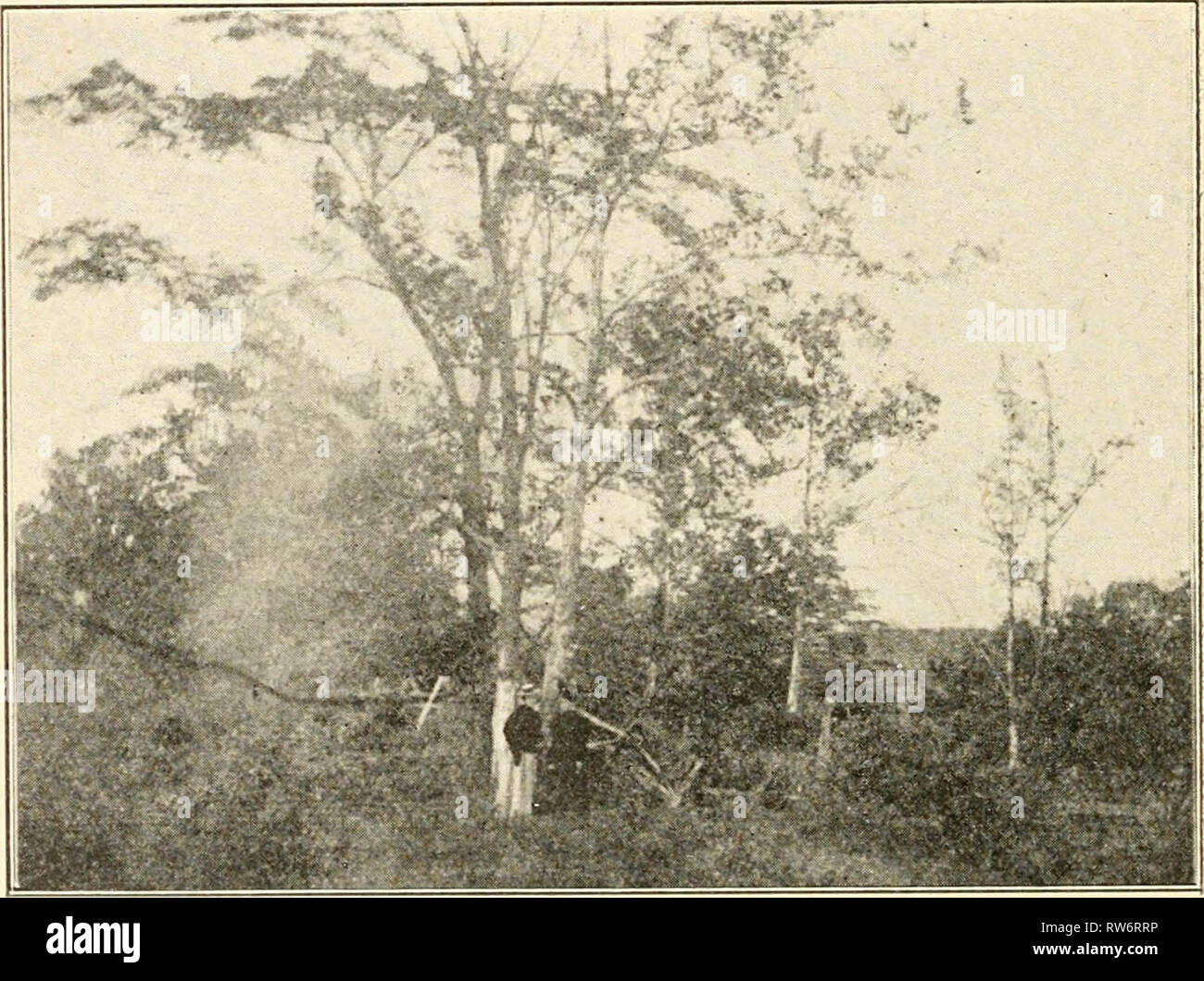 Ifier hi-res stock photography and images - Alamy