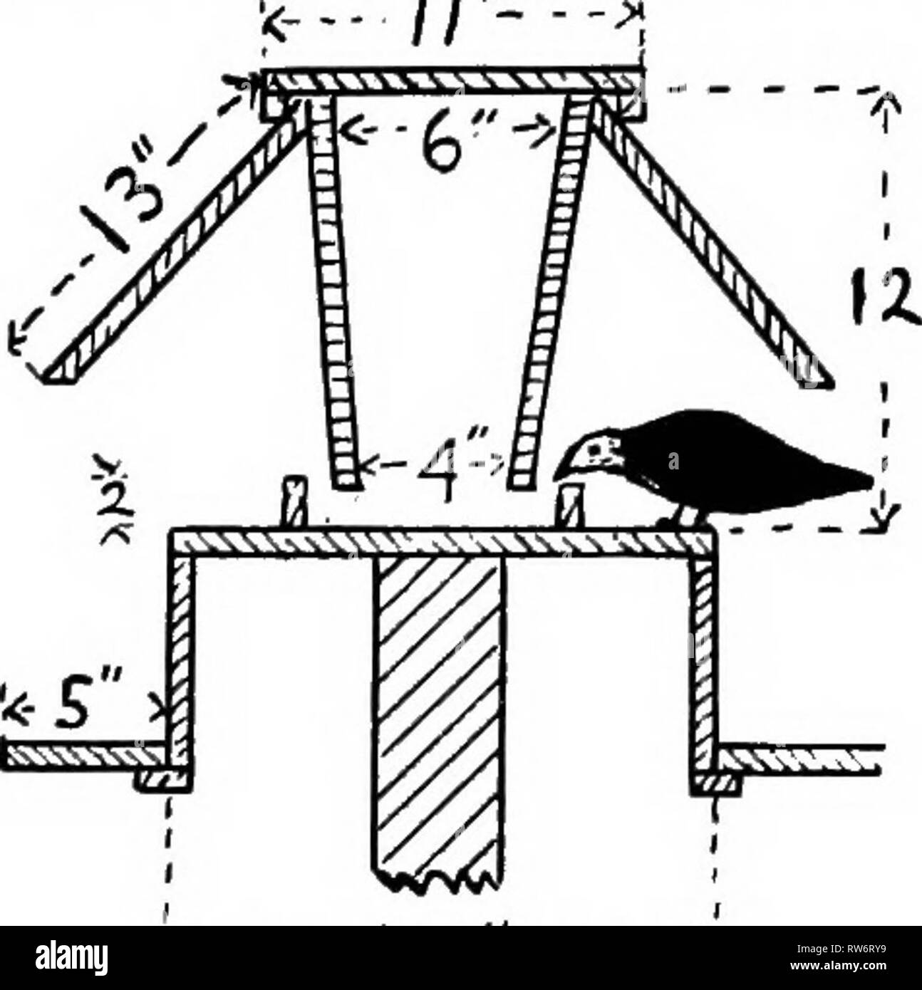 "The Robinson method of breeding squabs; a full account of the new ...