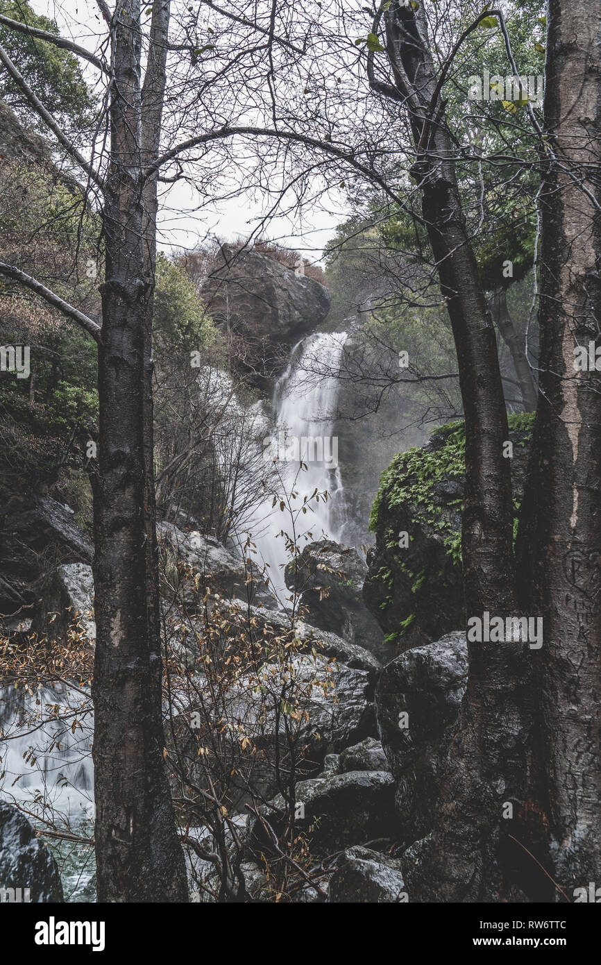 Rainy weather winter on river hi-res stock photography and images - Alamy