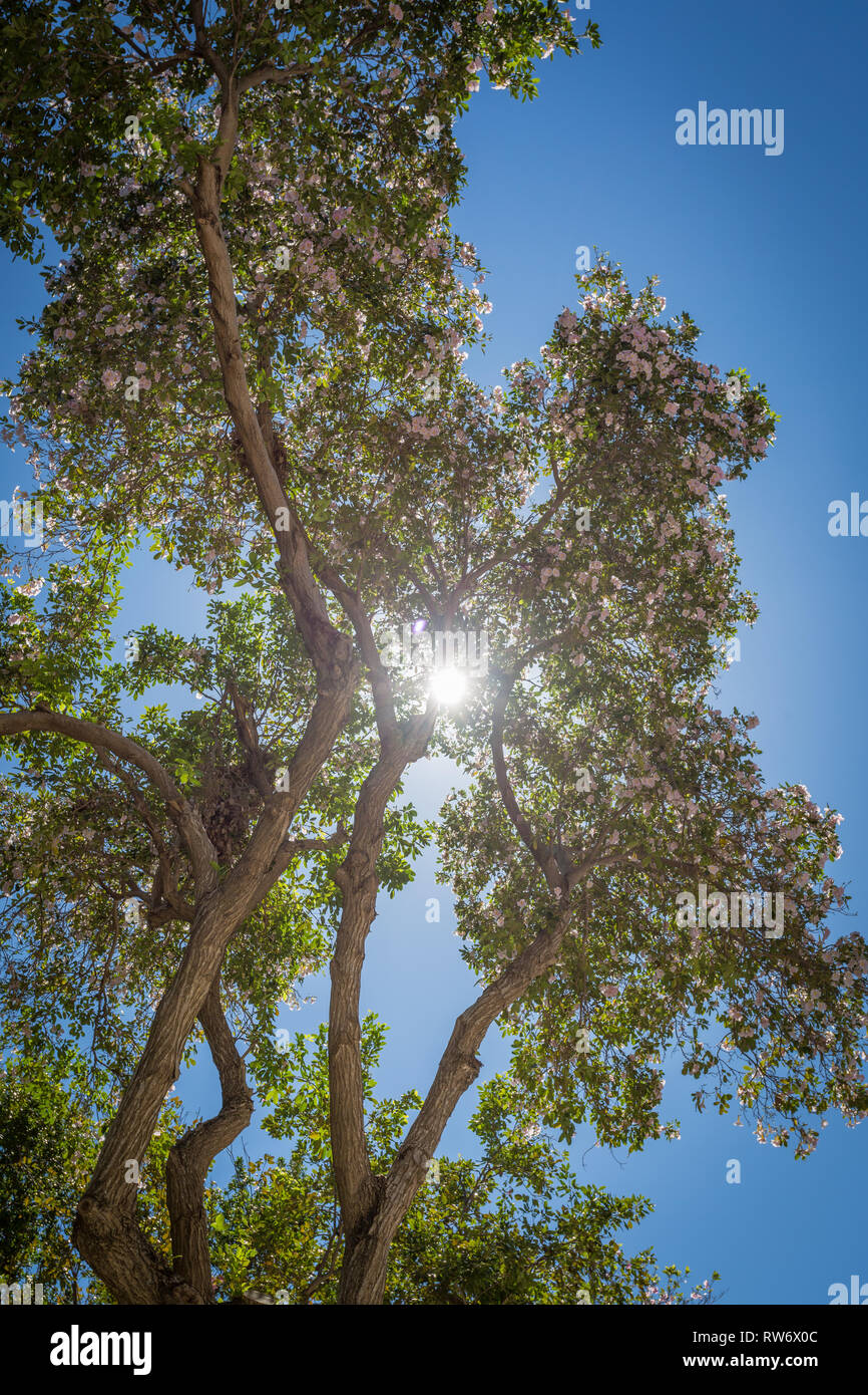 Night time photoshoot hi-res stock photography and images - Alamy