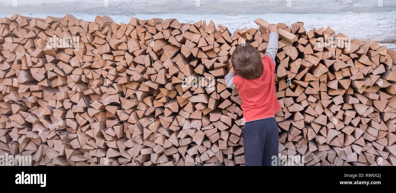 Boy collecting firewood. Wood burned as fuel. Firewood stacked along ...