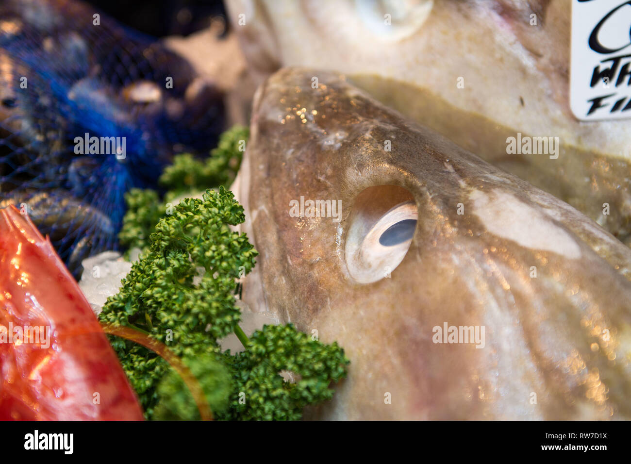Fresh fish display with close upof cod head Stock Photo - Alamy