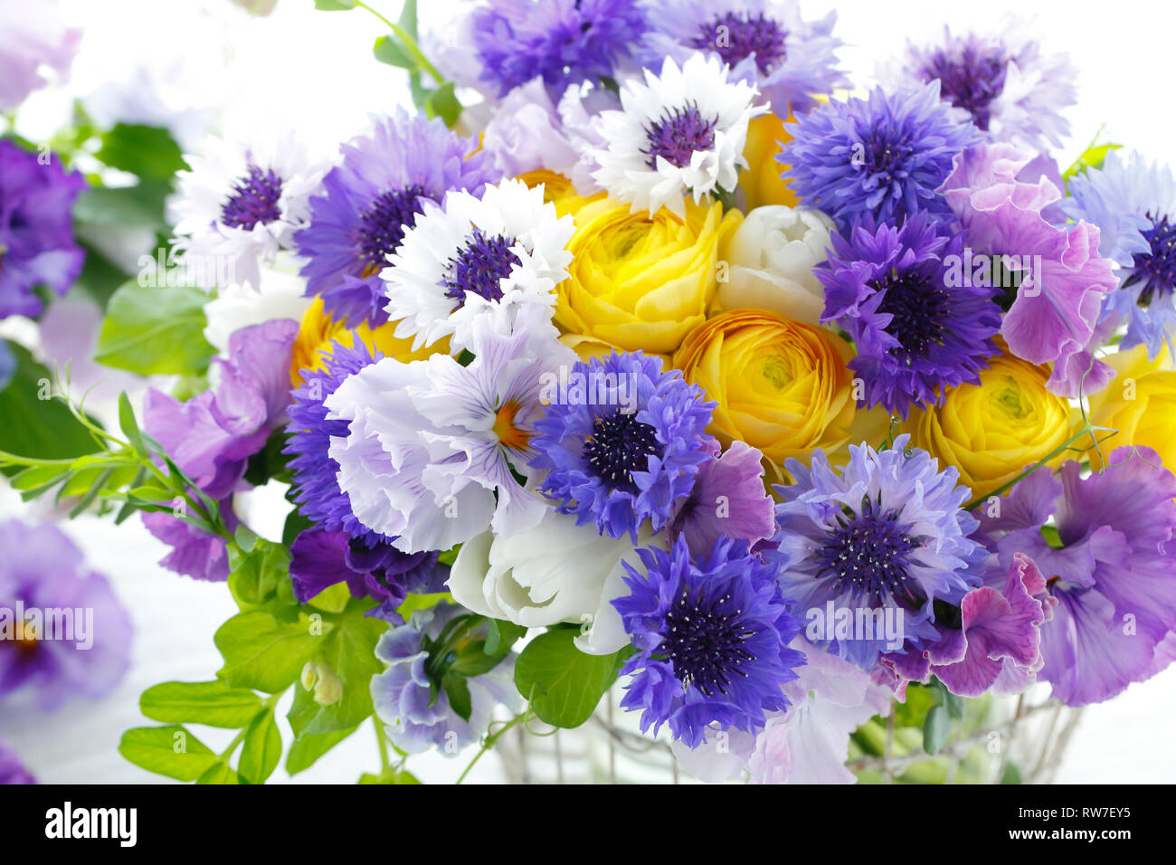 Multiple flower types hi-res stock photography and images - Alamy
