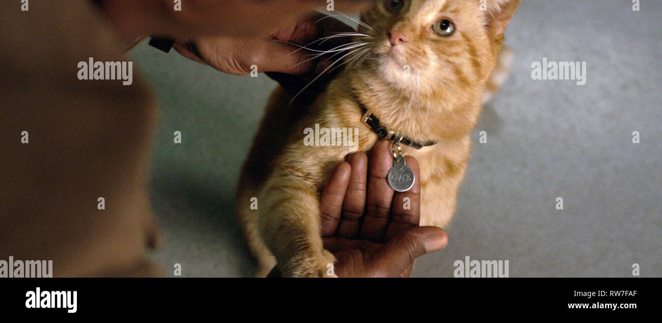 CAPTAIN MARVEL, Goose, 2019. © Walt Disney Studios Motion Pictures ...