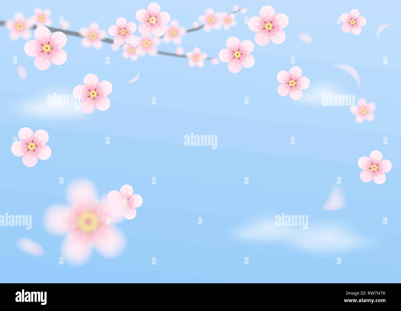 Pink cherry plum Stock Vector Images - Alamy