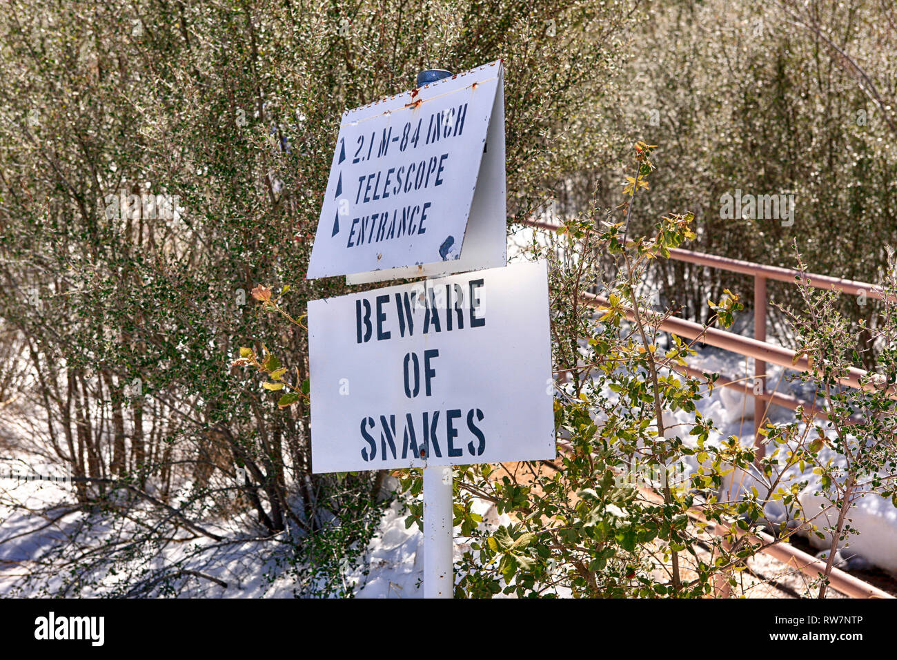 Snakes symbols hi-res stock photography and images - Alamy