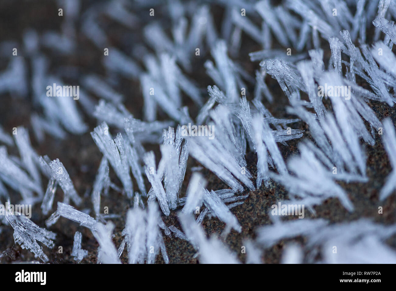 Frostwork hi-res stock photography and images - Alamy