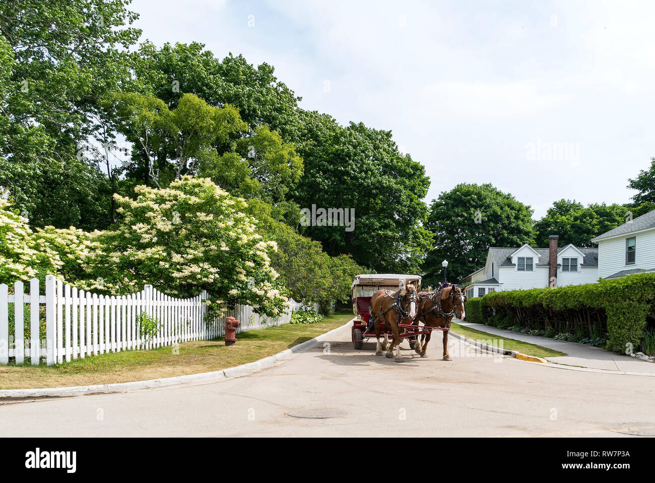 Horse drawn carriage white hi-res stock photography and images - Alamy