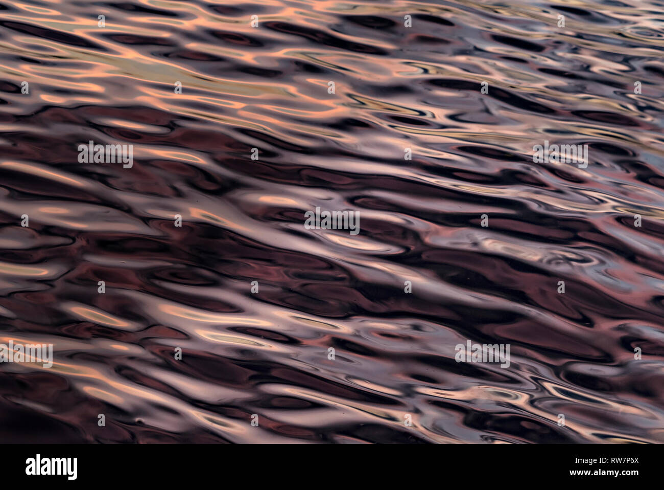 Light on the lake hi-res stock photography and images - Alamy
