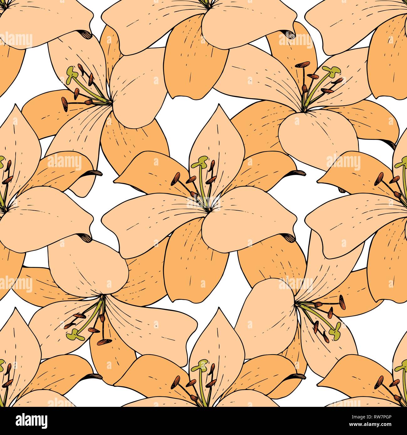 Vector Lily floral botanical flower. Engraved ink art. Seamless ...