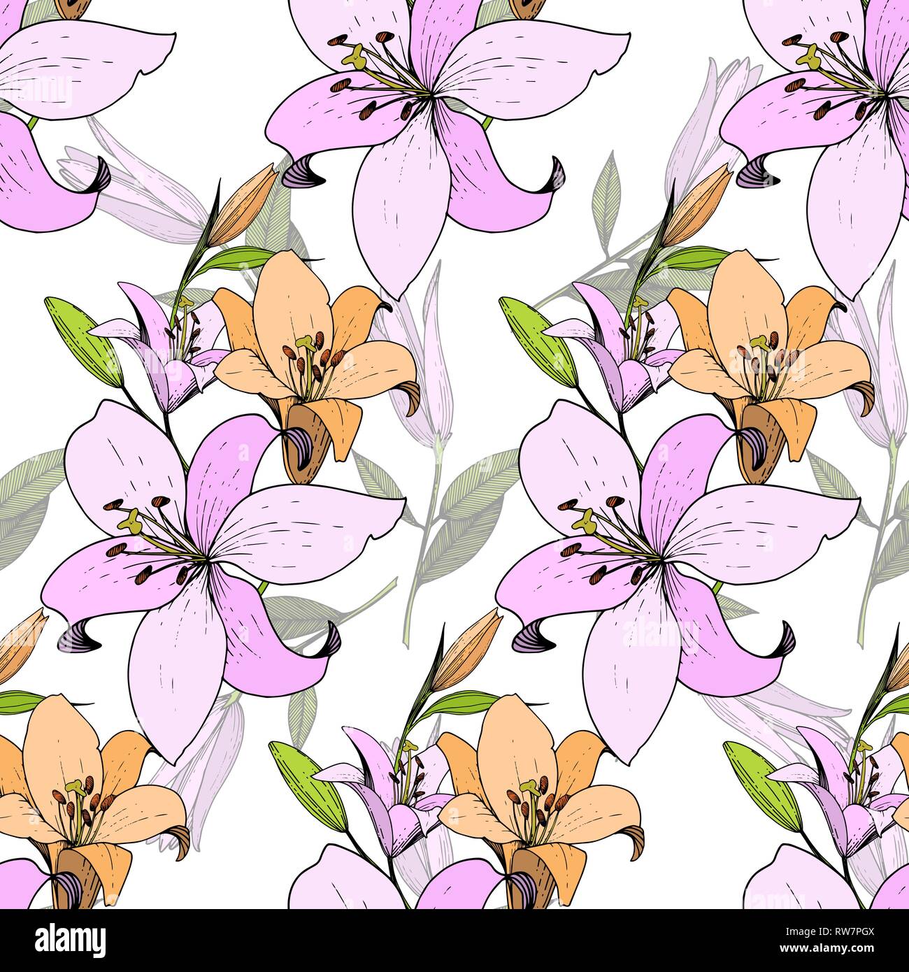 Vector Lily floral botanical flower. Engraved ink art. Seamless ...