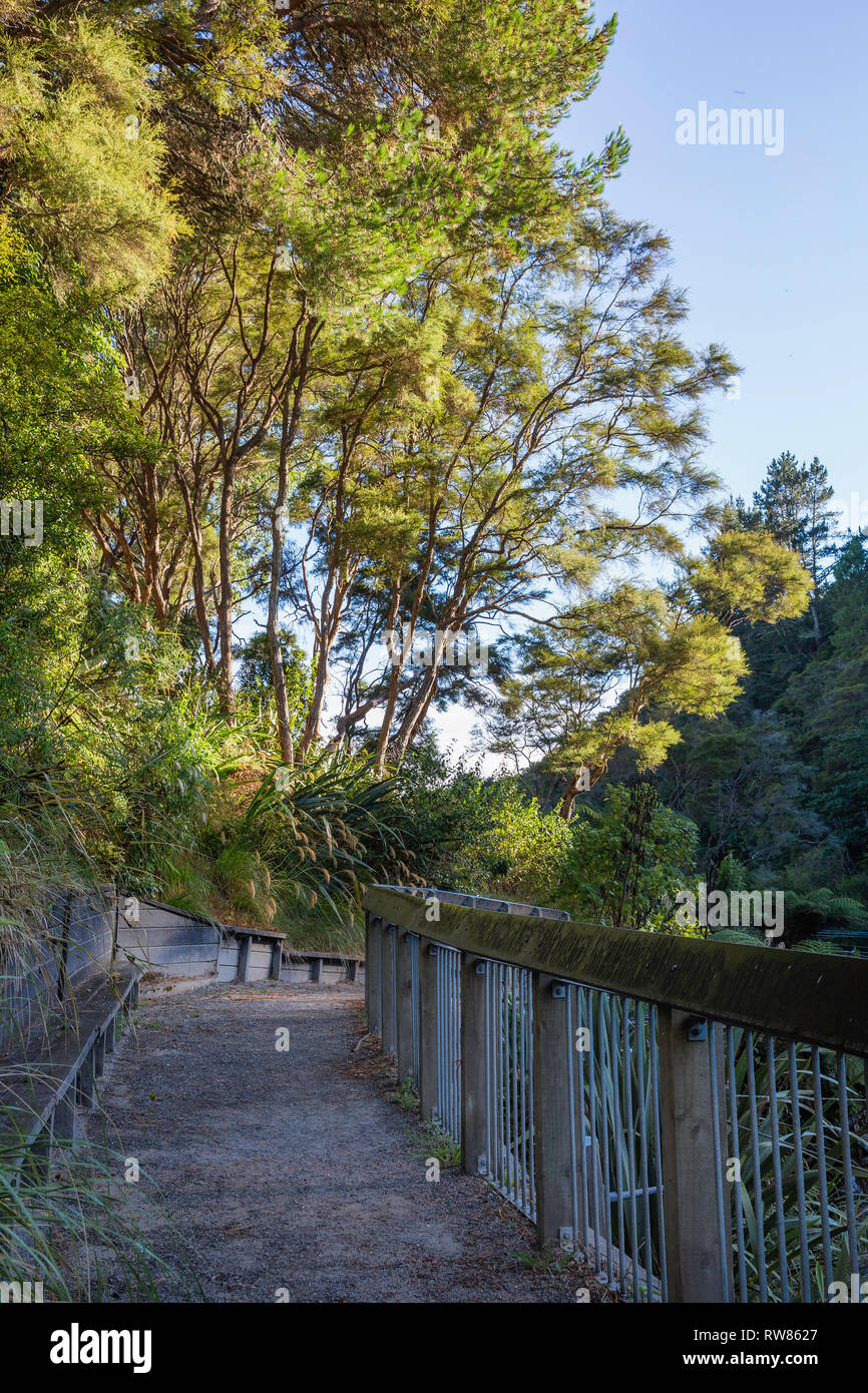 Pathway and fence in a bush area in New Zealand Stock Photo - Alamy