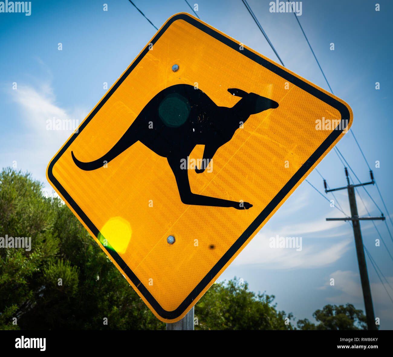 Kangaroo traffic sign hi-res stock photography and images - Alamy