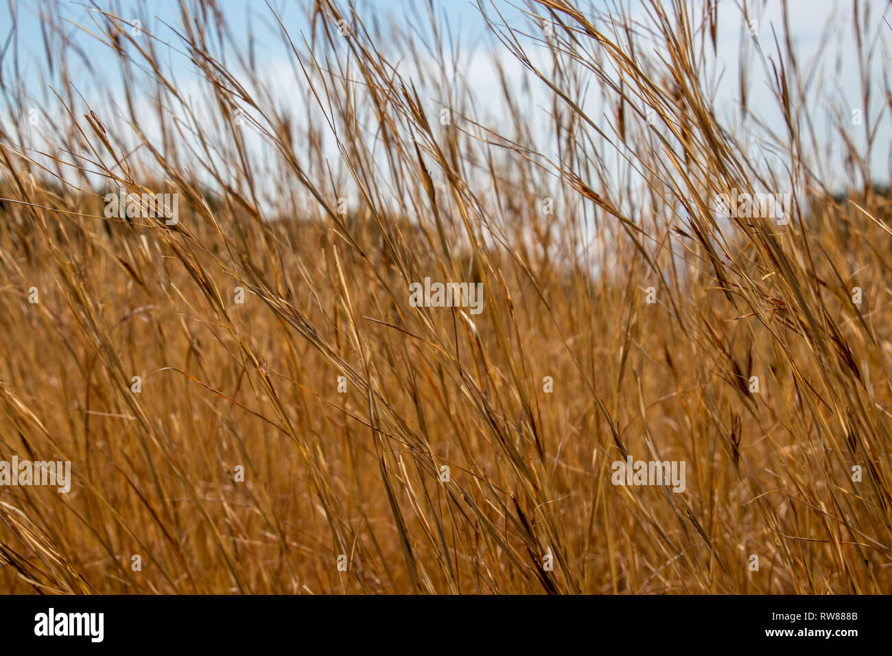 Landscape samos agriculture hi-res stock photography and images - Alamy