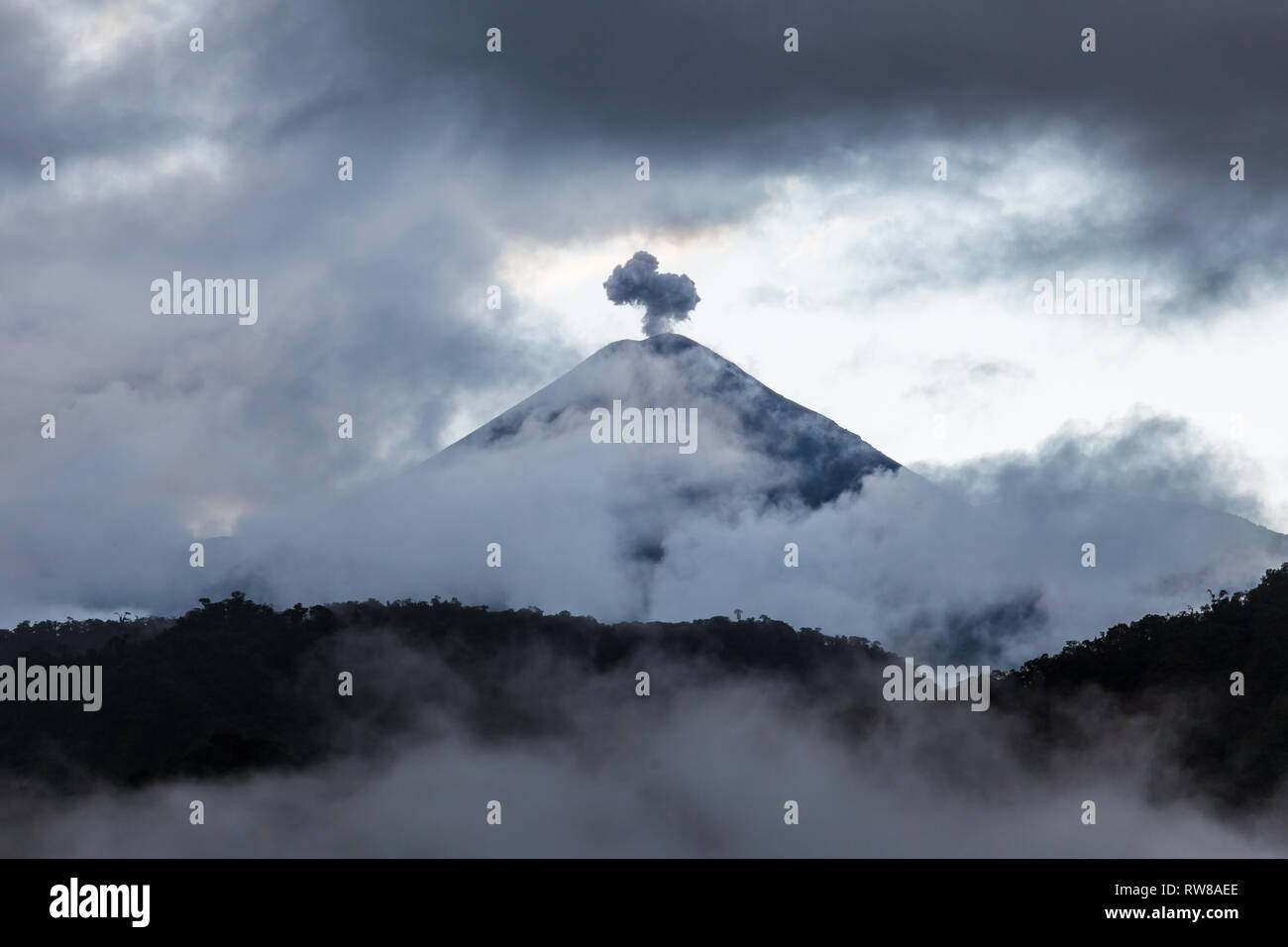 Volcan El Reventador in eruption, between the provinces of Napo and ...
