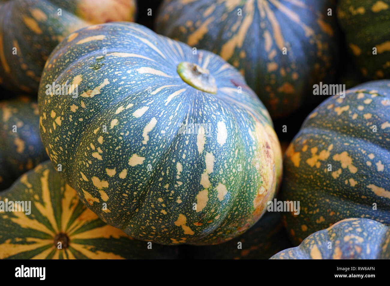 Jap pumpkin hi-res stock photography and images - Alamy