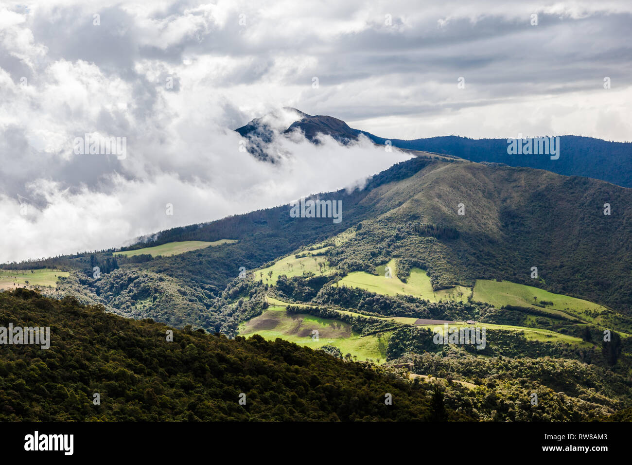 Andean moorland hi-res stock photography and images - Alamy