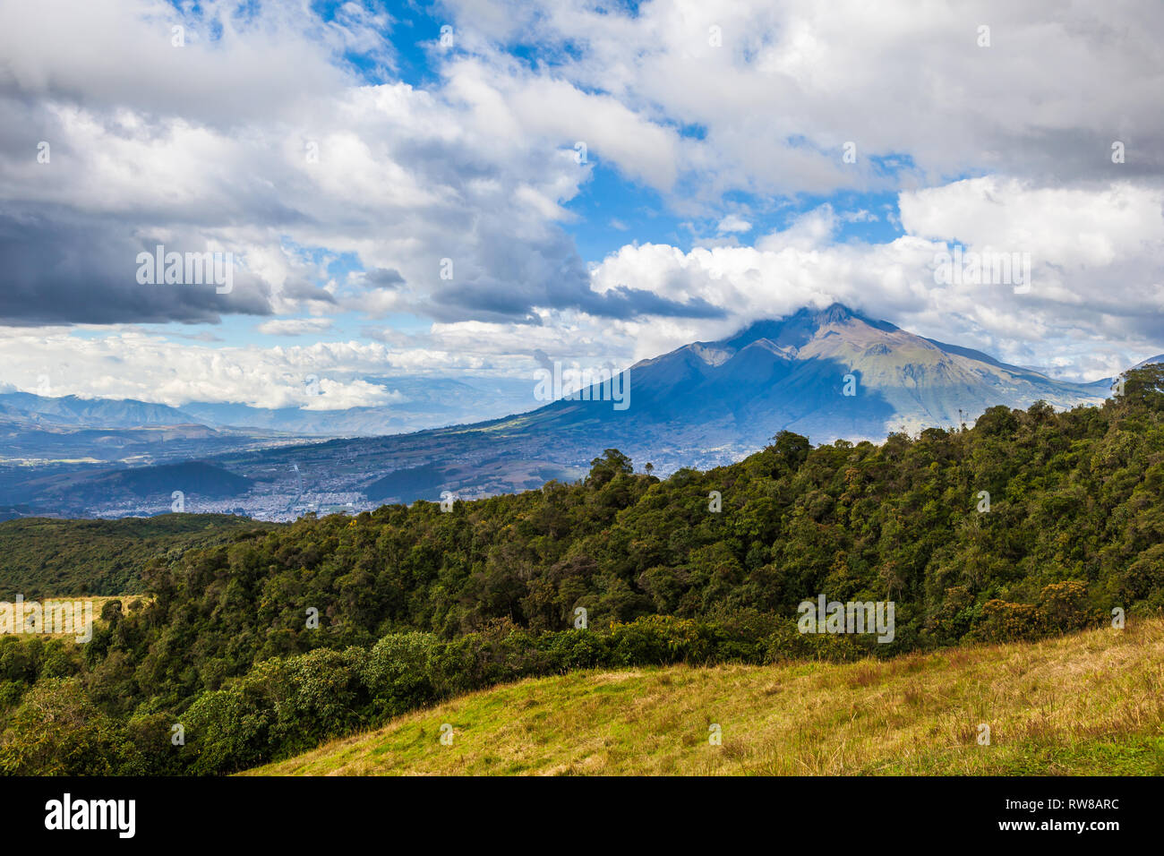 Andean moorland hi-res stock photography and images - Alamy
