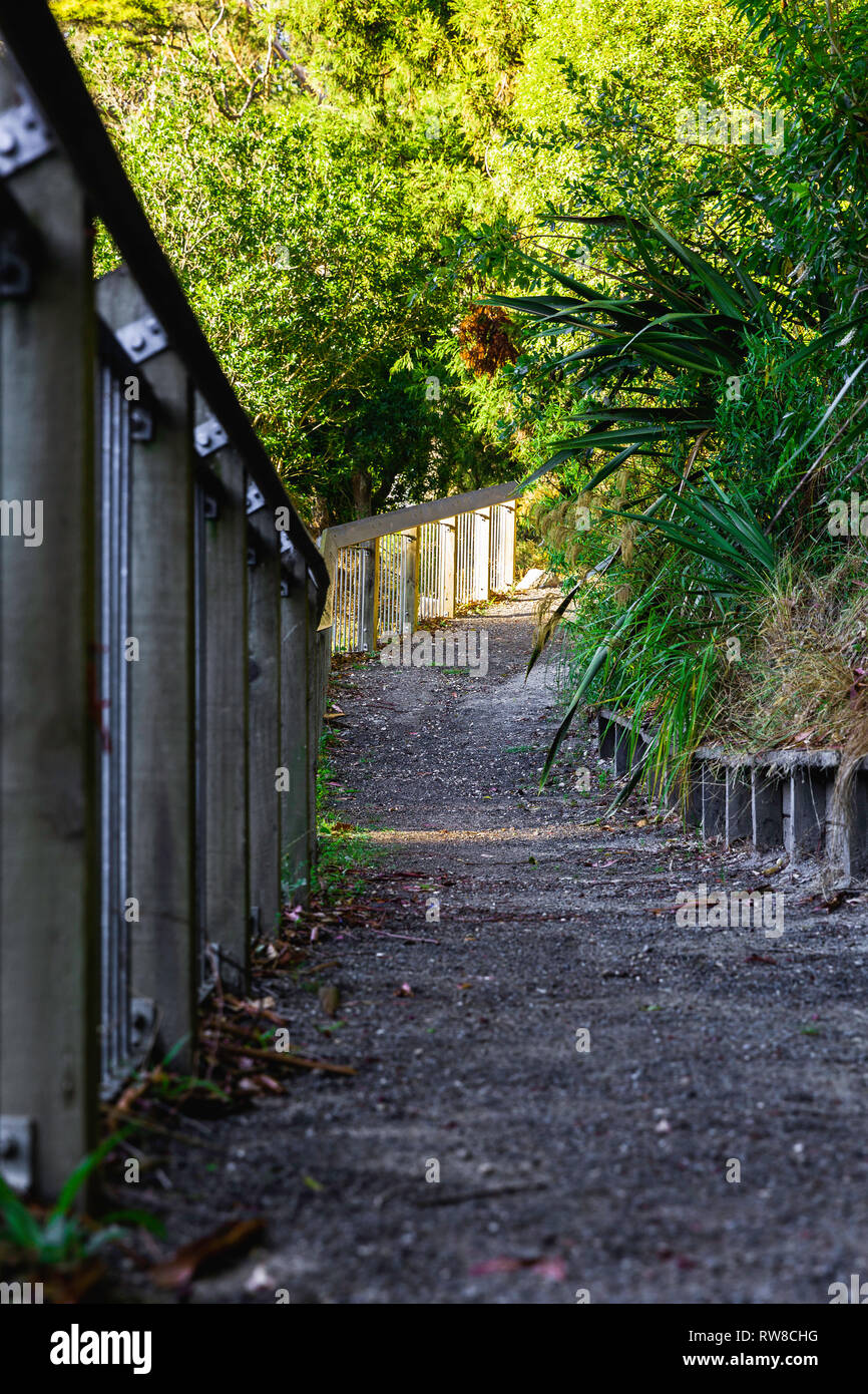 Nz rail trail hi-res stock photography and images - Alamy