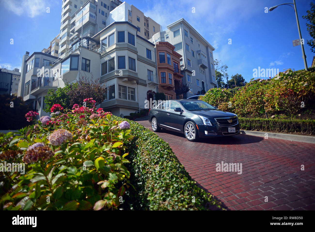 Popular Lombard Street in San Francisco, an east–west street that is ...