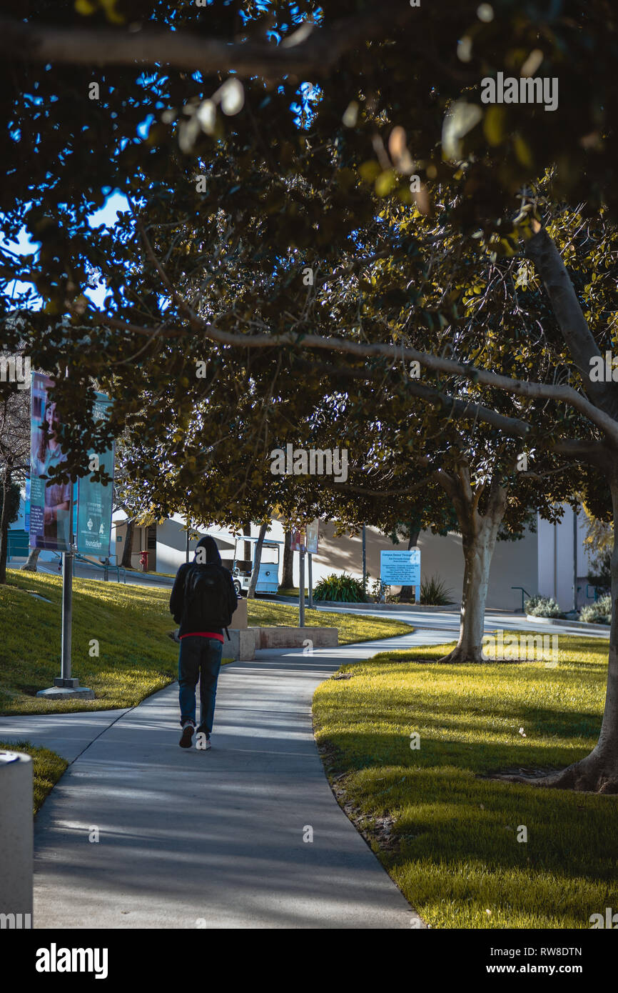 Early morning at school Stock Photo - Alamy