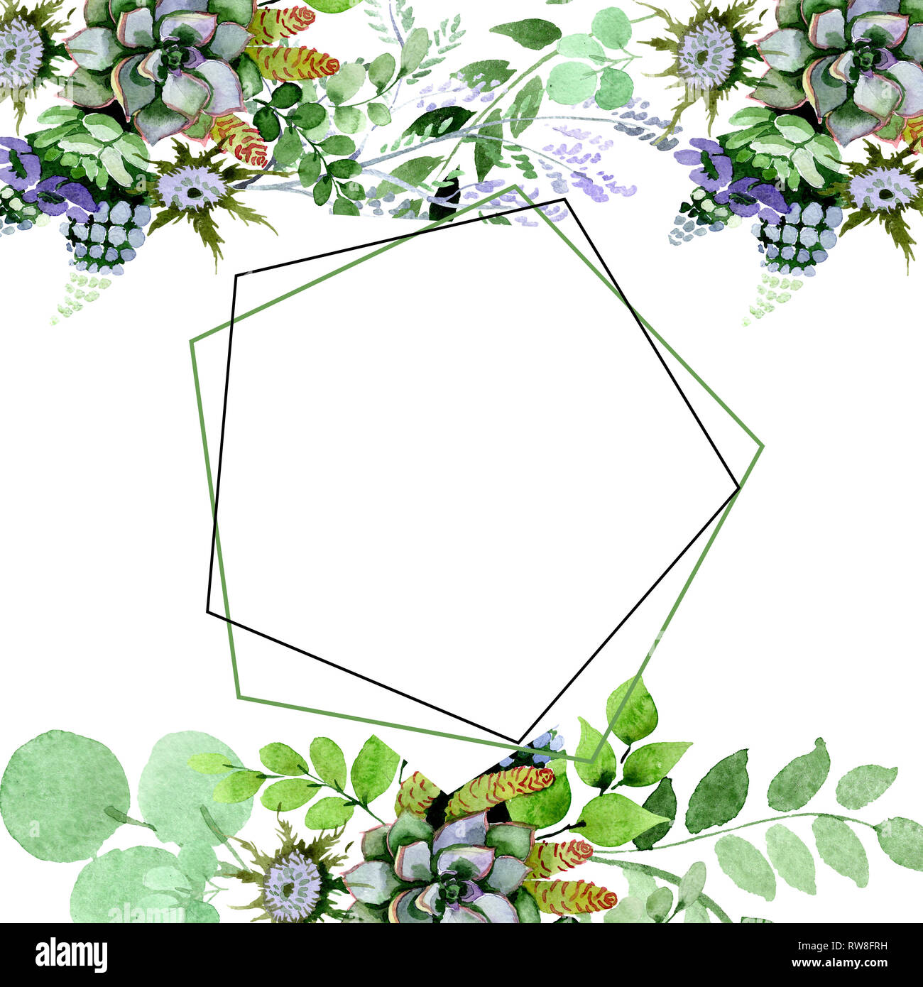 Succulent bouquet floral botanical flowers. Watercolor background ...