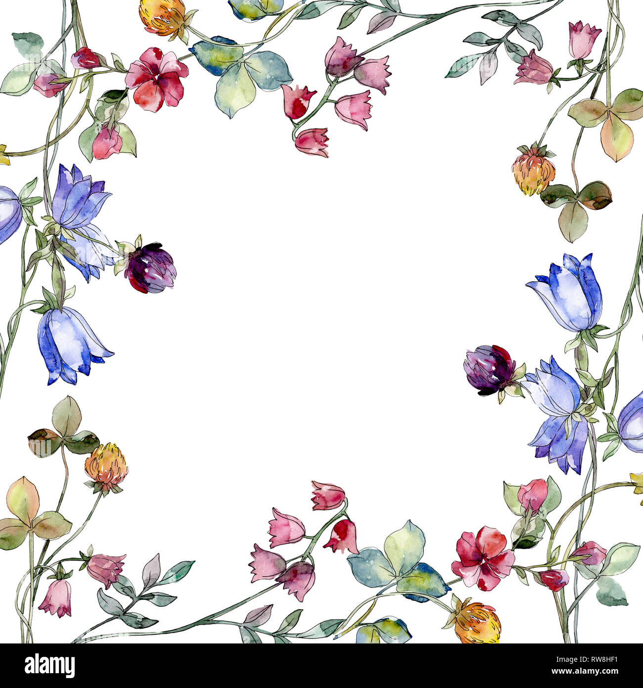 Wildflowers print floral botanical flower. Watercolor background ... Wildflowers print floral botanical flower. Watercolor background ...