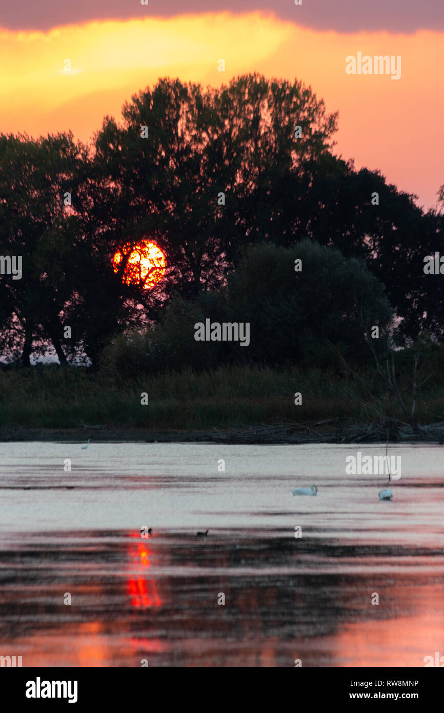 Sunset scene over lake, with sun coming down behind some trees and ...