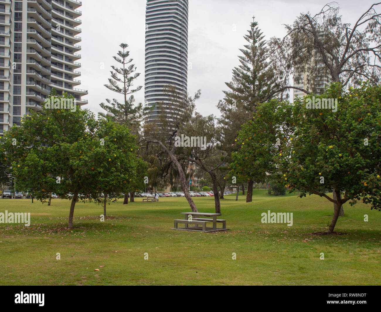 Kurrawa hi-res stock photography and images - Alamy