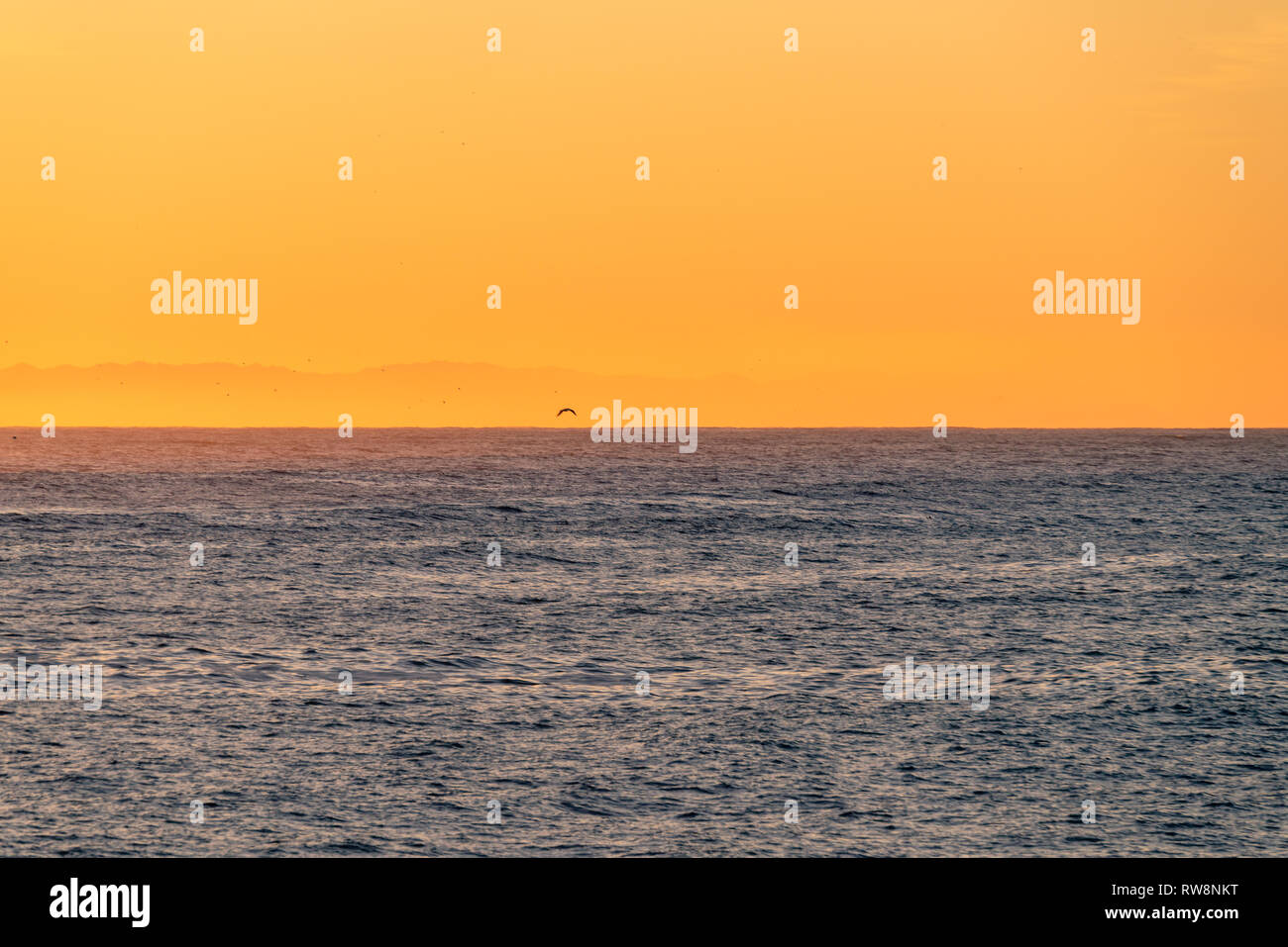 Colorful california hi-res stock photography and images - Alamy