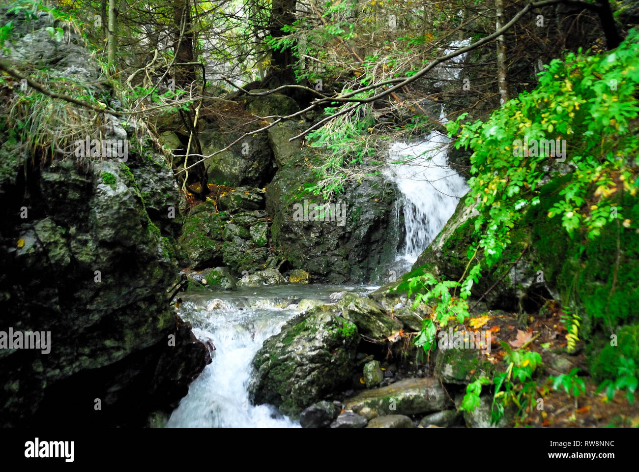 Pal Grande (Austrian : Grosser Pal) is a mountain in the Carnic Alps ...