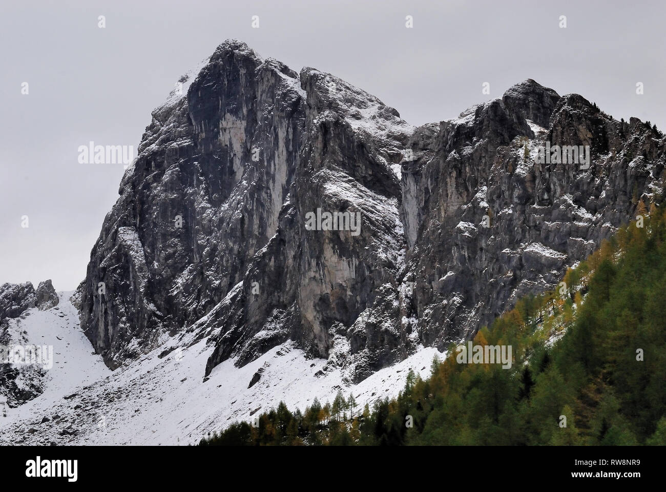 Pal Grande (Austrian : Grosser Pal) is a mountain in the Carnic Alps ...