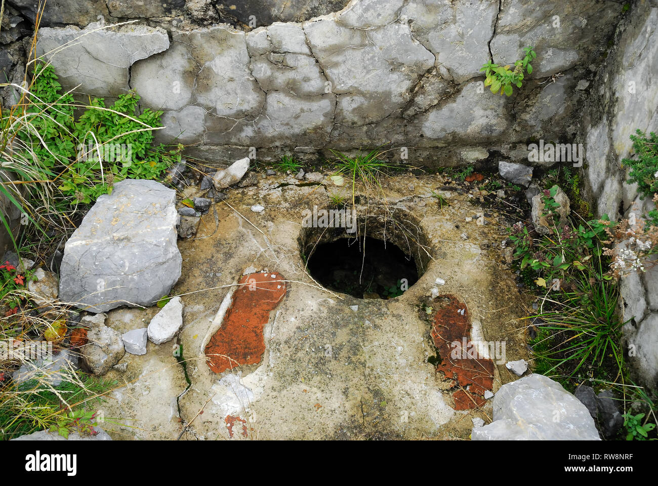 Pal Grande (Austrian : Grosser Pal) is a mountain in the Carnic Alps ...