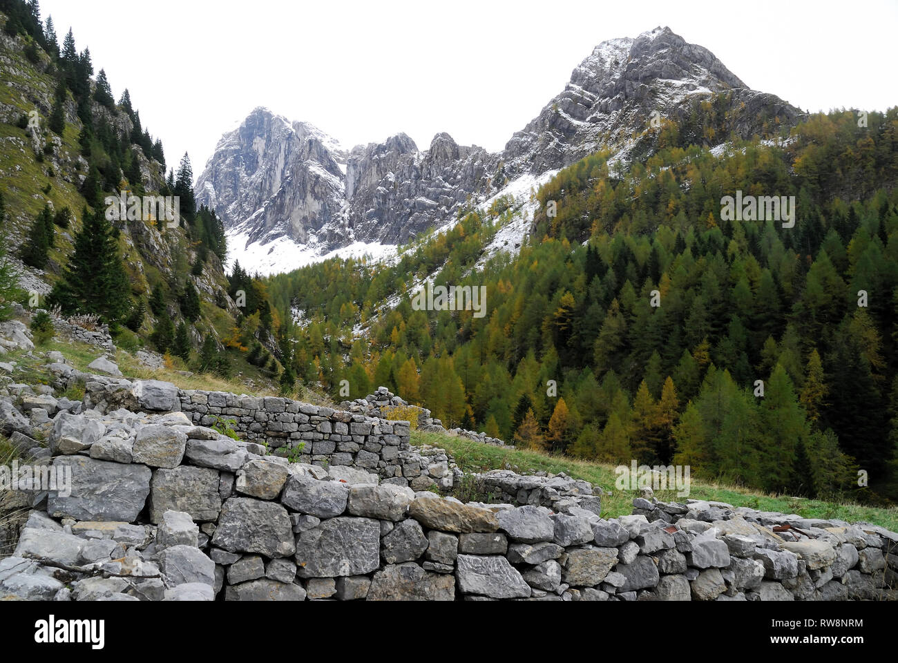 Pal Grande (Austrian : Grosser Pal) is a mountain in the Carnic Alps ...
