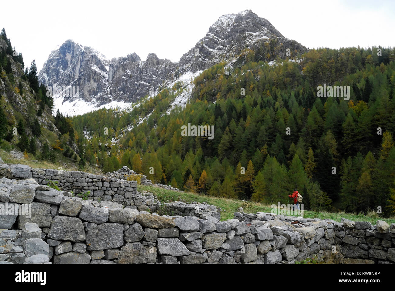 Pal Grande (Austrian : Grosser Pal) is a mountain in the Carnic Alps ...