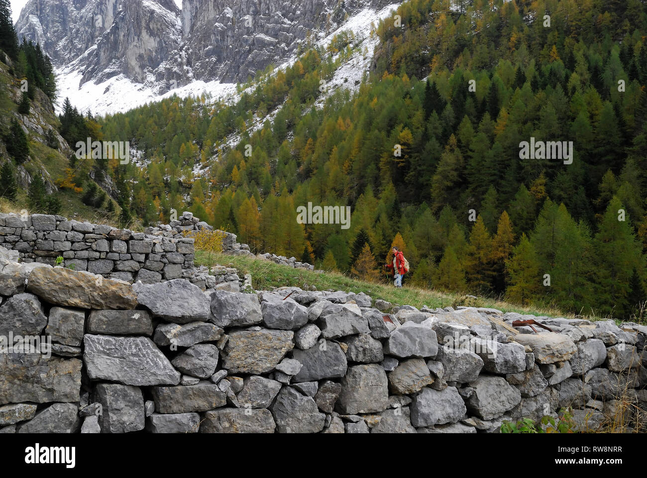 Pal Grande (Austrian : Grosser Pal) is a mountain in the Carnic Alps ...