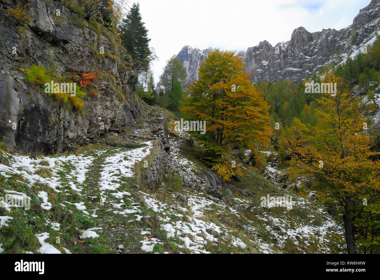 Pal Grande (Austrian : Grosser Pal) is a mountain in the Carnic Alps ...