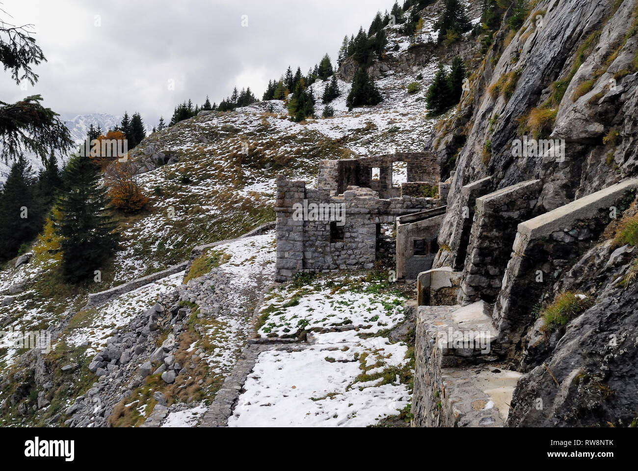 Pal Grande (Austrian : Grosser Pal) is a mountain in the Carnic Alps ...