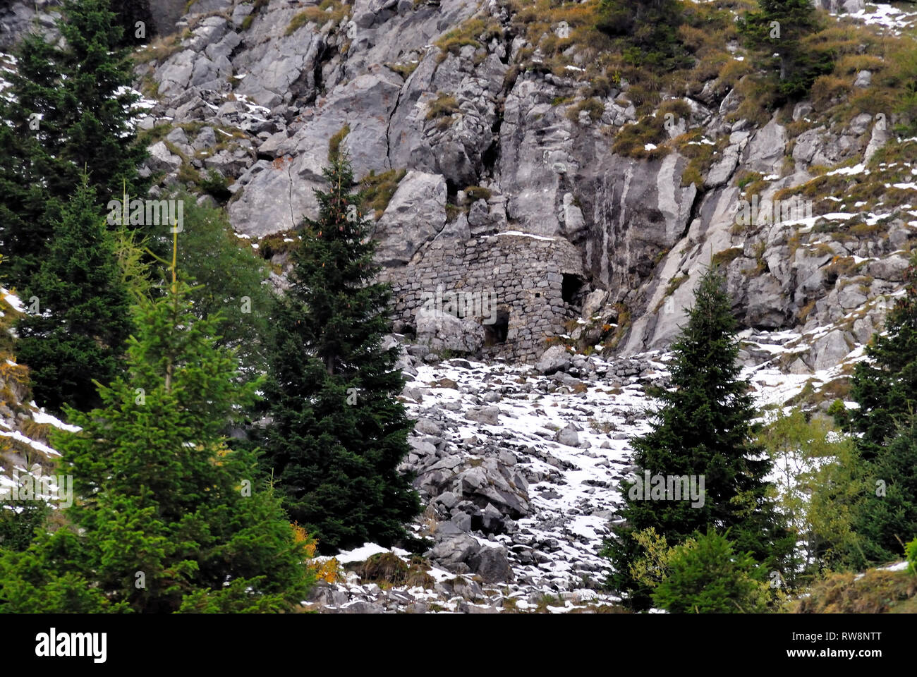 Pal Grande (Austrian : Grosser Pal) is a mountain in the Carnic Alps ...