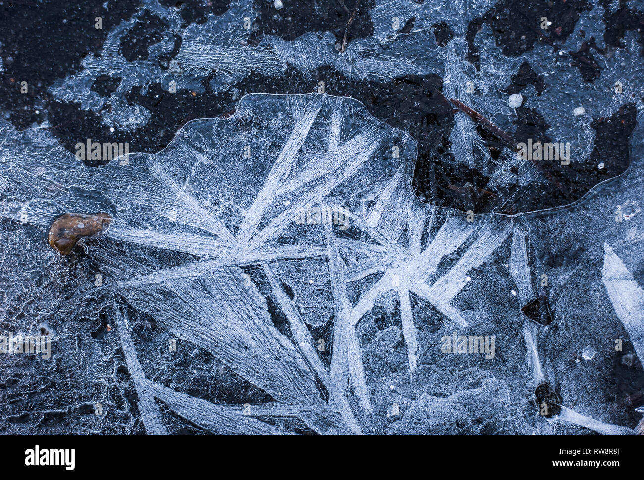 beautiful ice with different patterns Stock Photo - Alamy