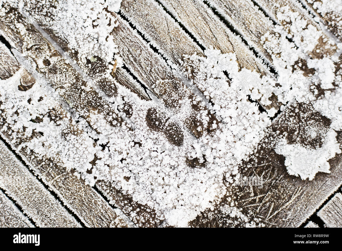beautiful ice with different patterns Stock Photo - Alamy