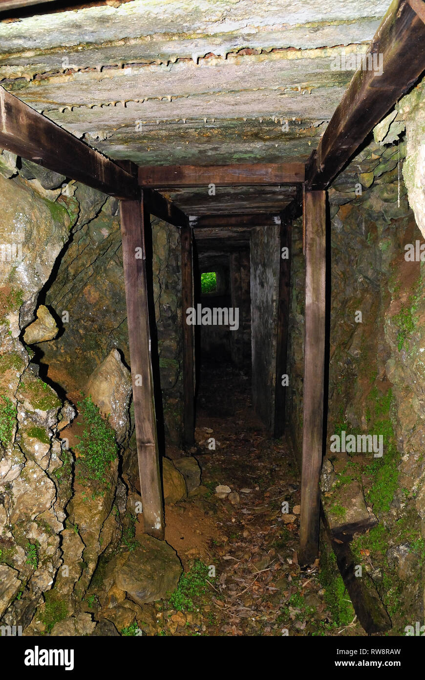 Kleiner Pal (Italian : Pal Piccolo), Carnic Alps. WWI, Austro-Hungarian ...