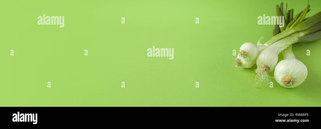 Green onion isolated on green background Banner Stock Photo - Alamy