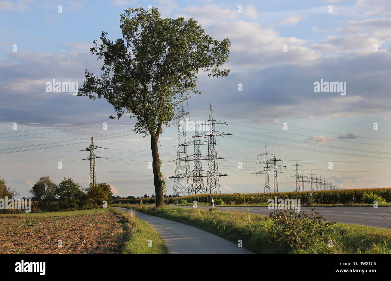 Transmission towers in a row, crossing a street in between fields. Tree ...