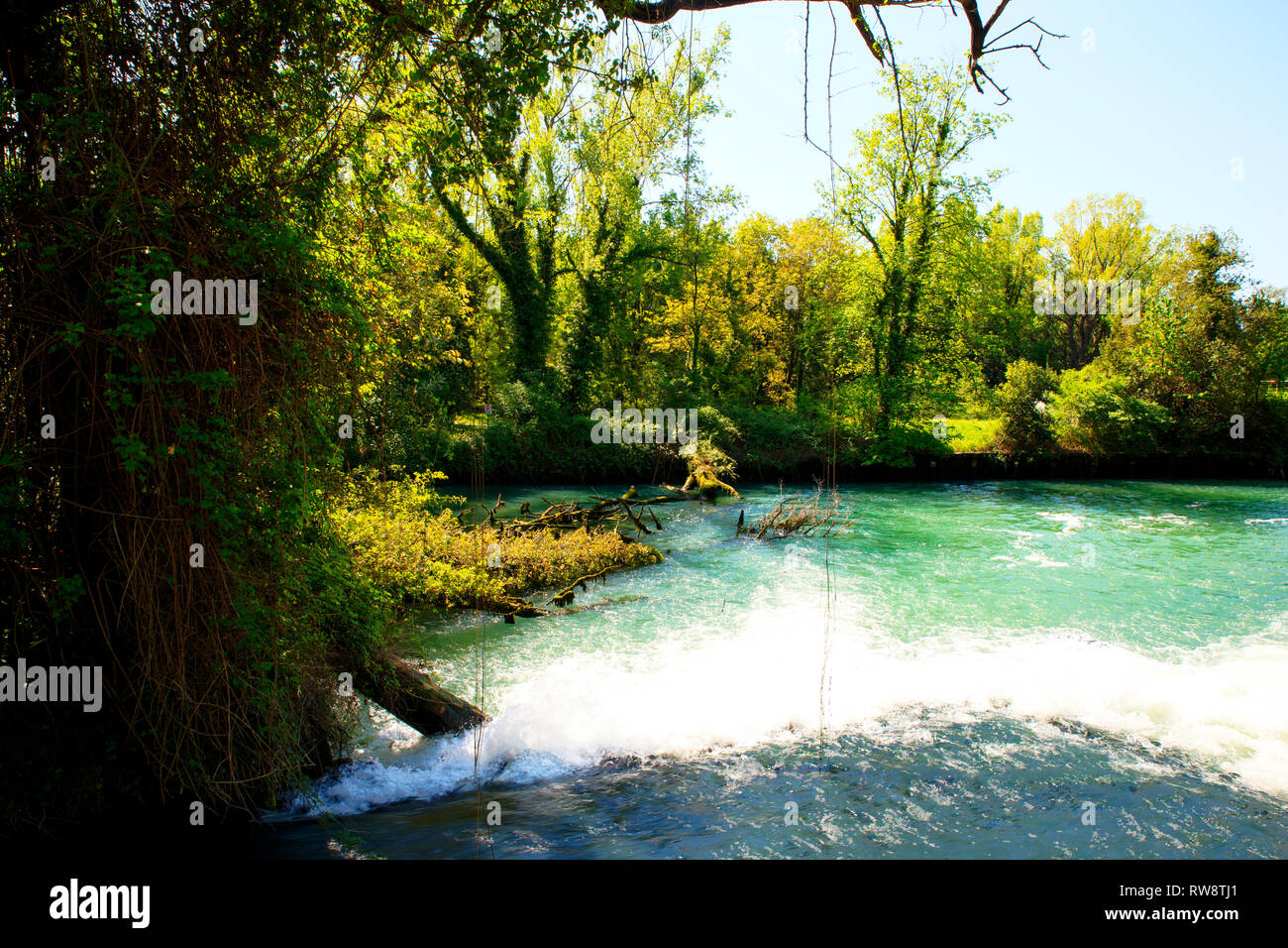 View of the Resurgence of the Timavo river, Duino Stock Photo - Alamy